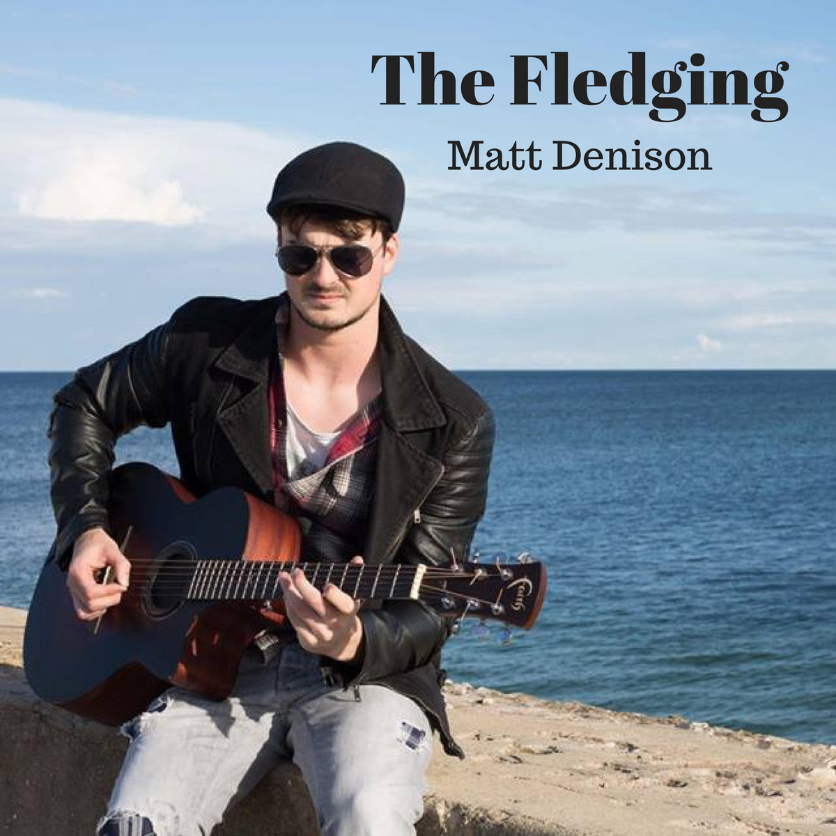 The Fledging | Matt Denison
