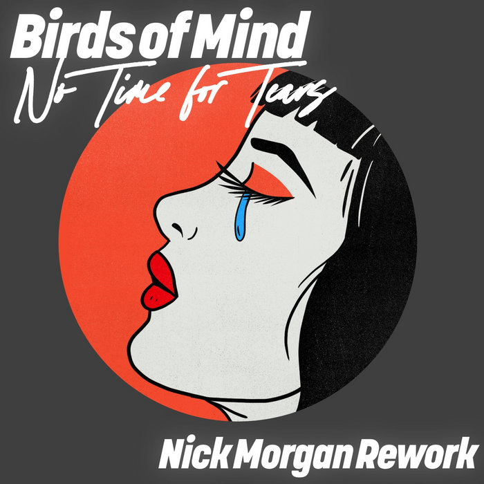 Birds Of Mind - No Time For Tears (Nick Morgan Rework) | Birds Of Mind