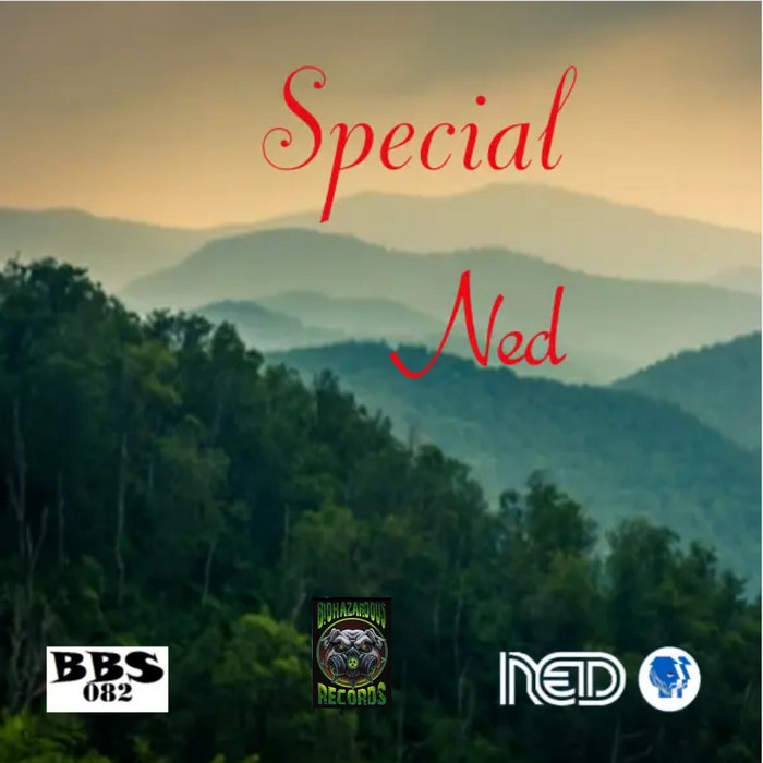 Special Ned | Ned