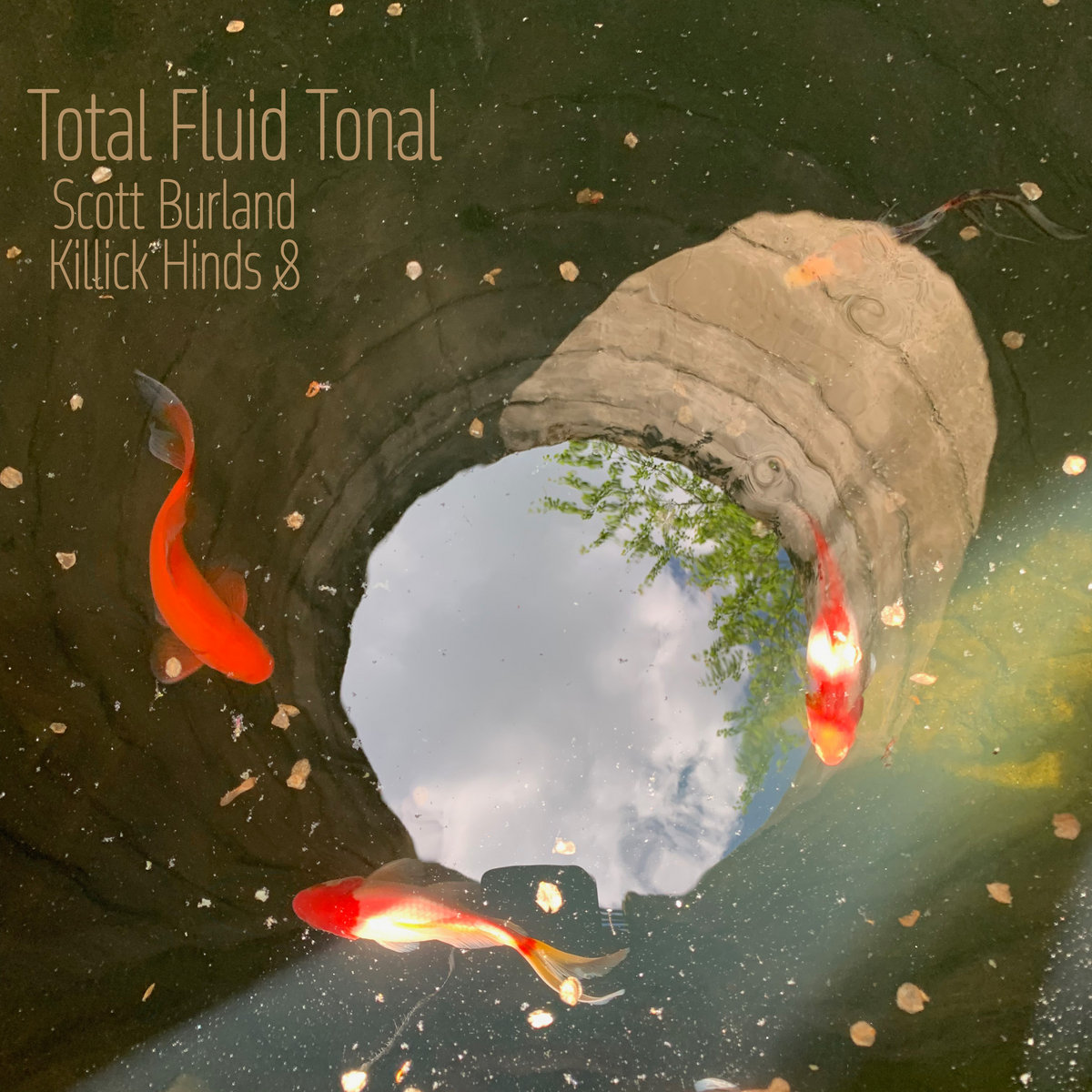 Total Fluid Tonal | Scott Burland & Killick Hinds | Killick