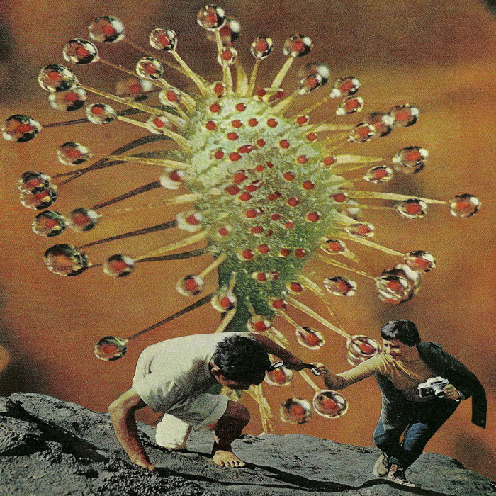 Slime Flux | Crazy Bones