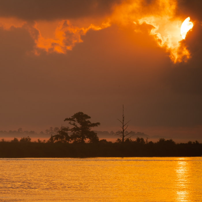 Stages | Red Left Hand