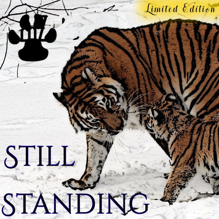 Still Standing | Muzik Hall Media