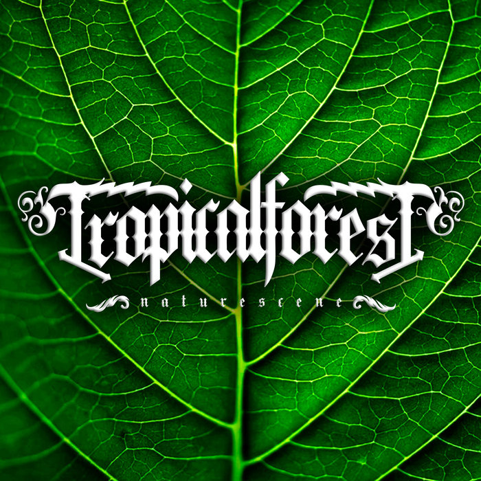 NATURESCENE | Tropical Forest