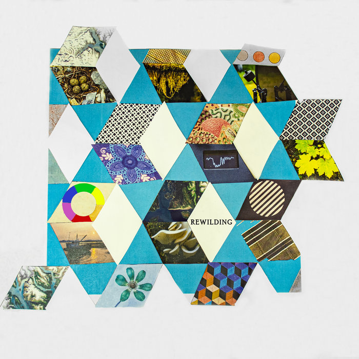 Rain Patch | Rewilding