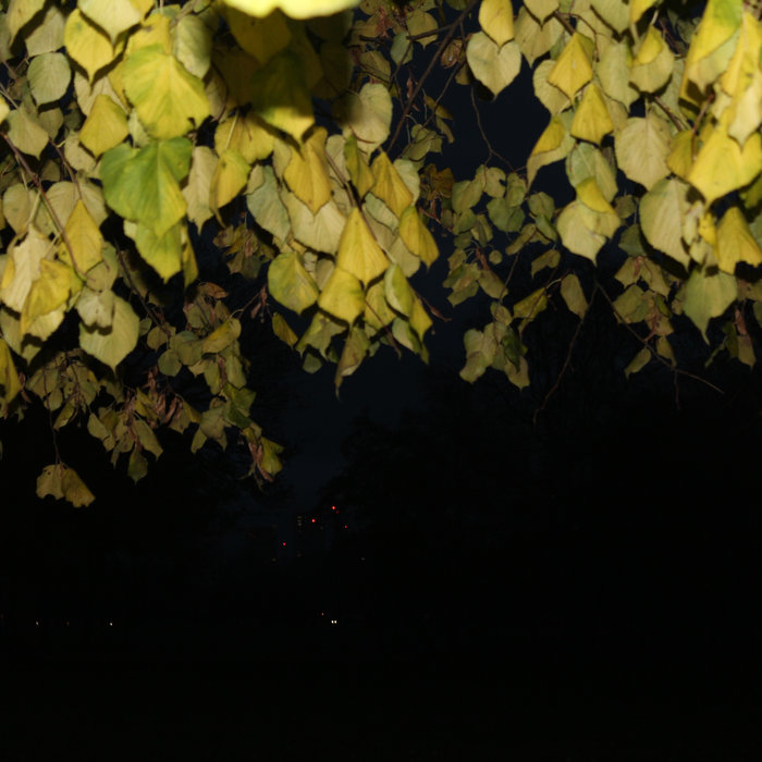 I'm Always Here | Joe Cowley & Cal McCullough | Joe Cowley