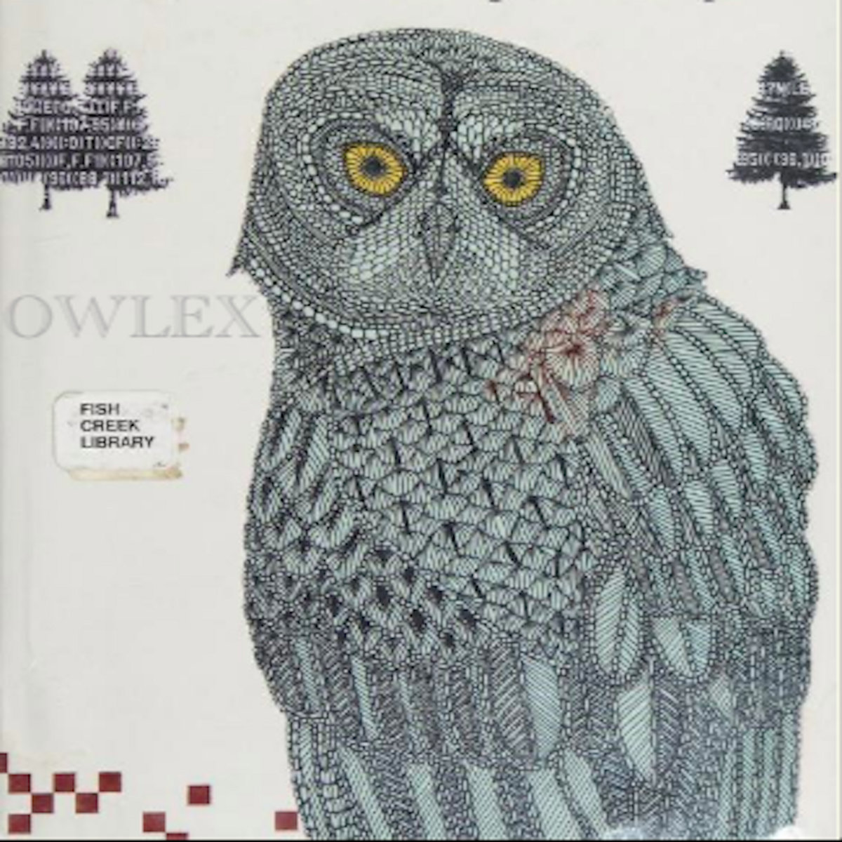 Fish Creek Library | OWLEX | Apache Tomcat