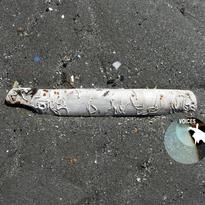 Cicada17Party | 1voiceS | soundctuary