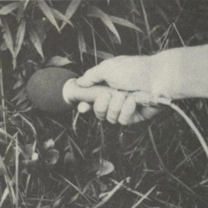 VESTiGE | Eric Mayer