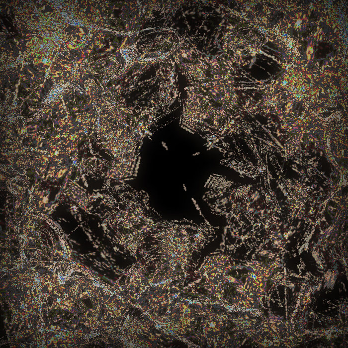 The Whale City | Jizmo