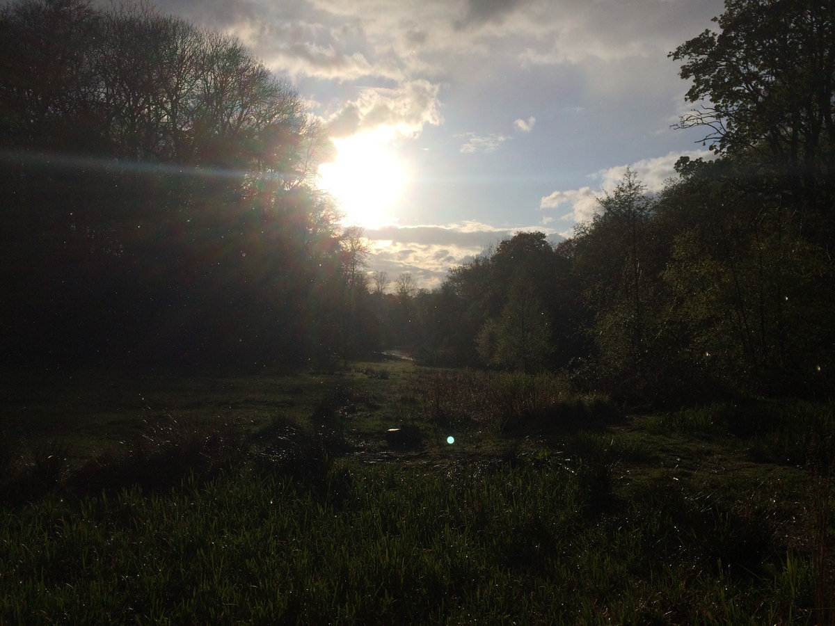 Octoconia | Giuseppe Mistretta