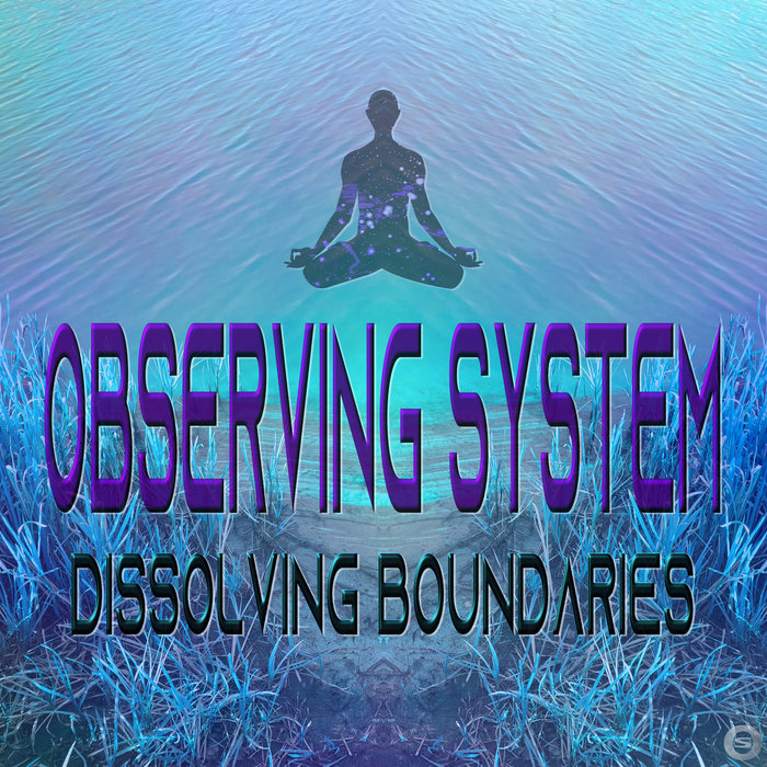 Dissolving Boundaries | Observing System