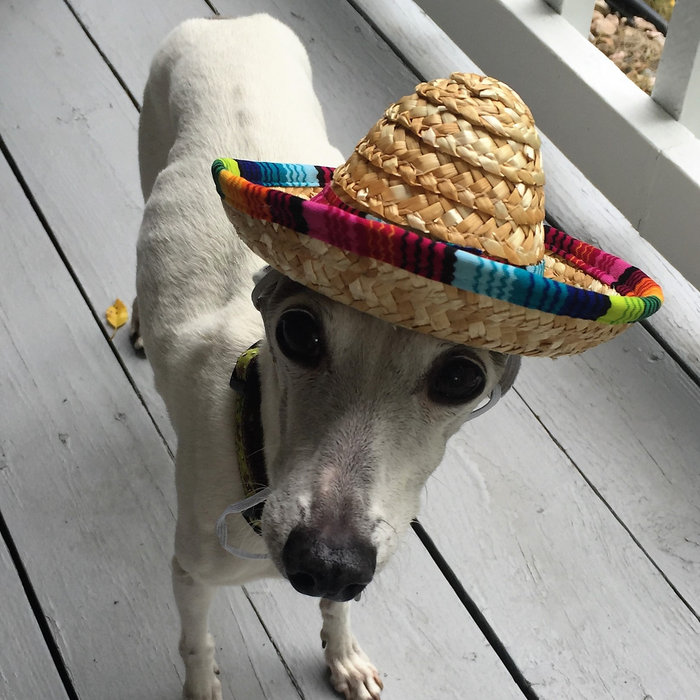 2016 Demo | The Remedials