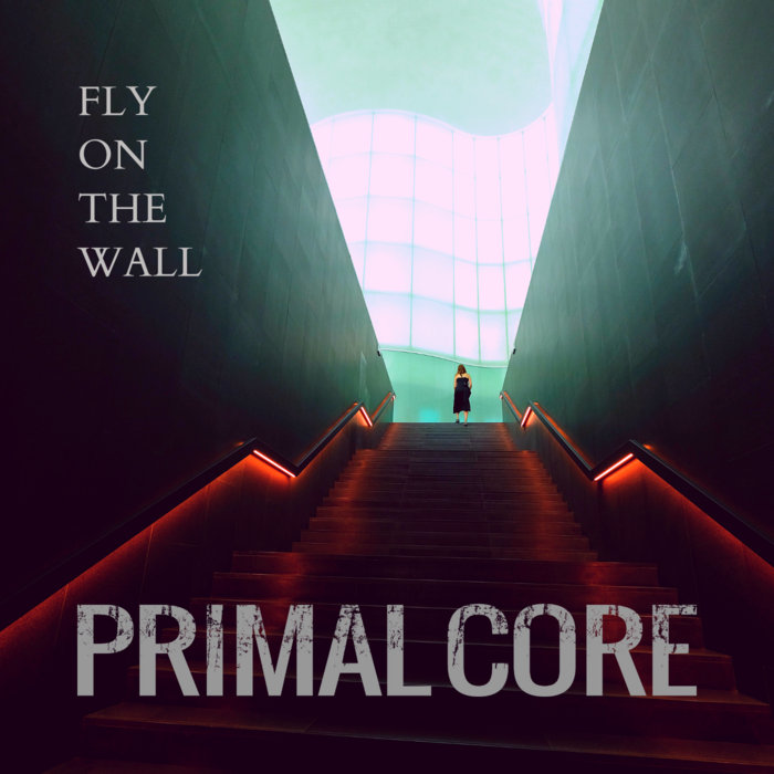 Fly On The Wall | Primal Core