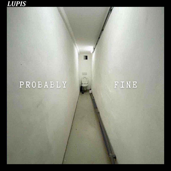 Probably Fine | Sipul