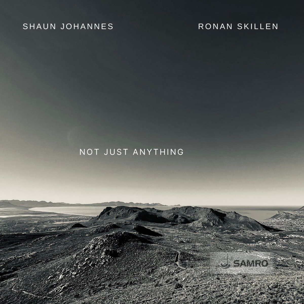 Not Just Anything | Ronan Skillen & Shaun Johannes | Shaun Johannes