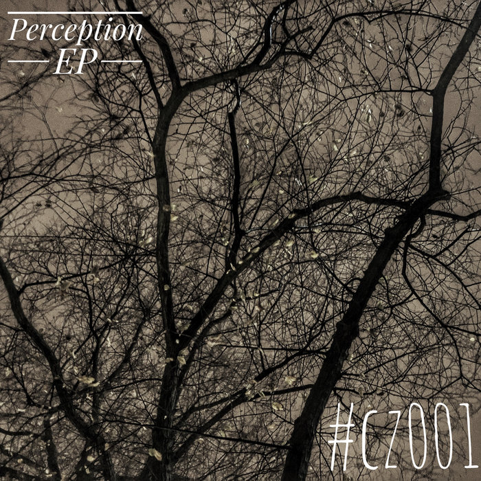 Perception EP | Zakaria | zakaria