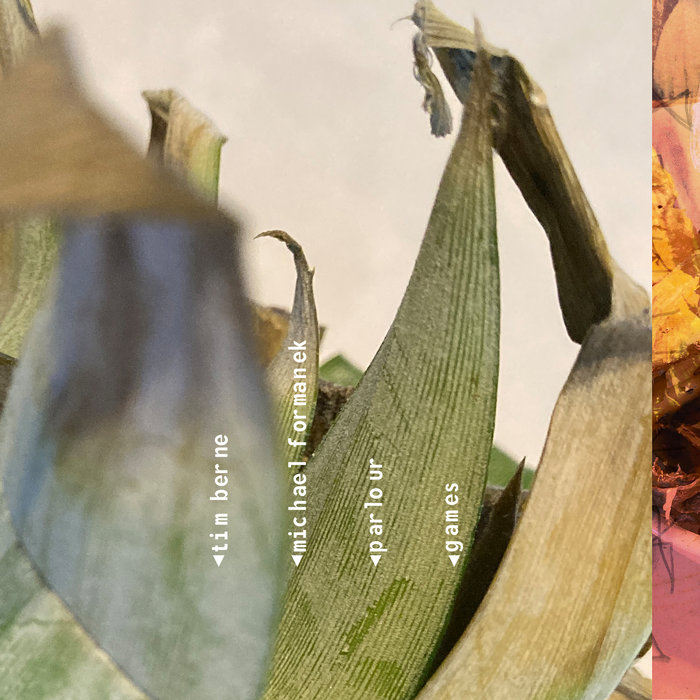 Parlour Games | Tim Berne, Michael Formanek | Relative Pitch Records