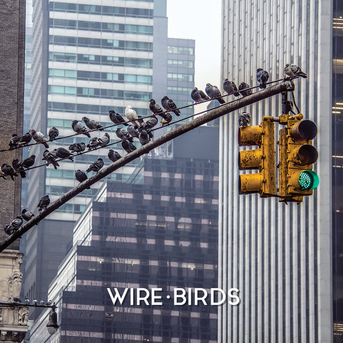 Wire Birds | Wire Birds