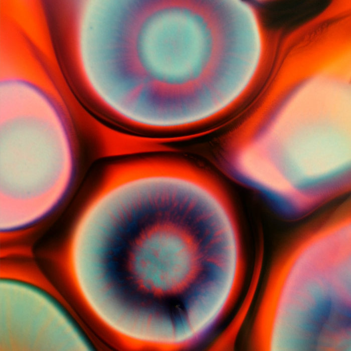 Fountainhead EP | Vlad Radu