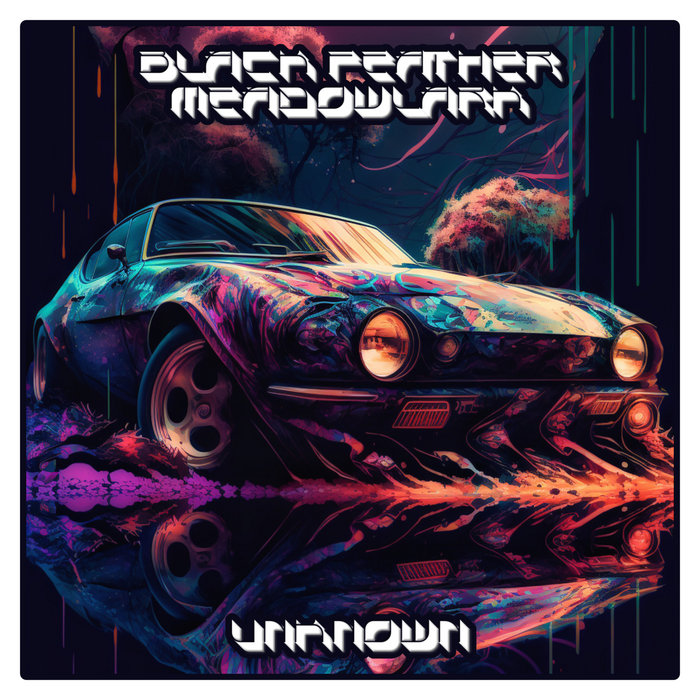 Unknown | Black Feather Meadowlark