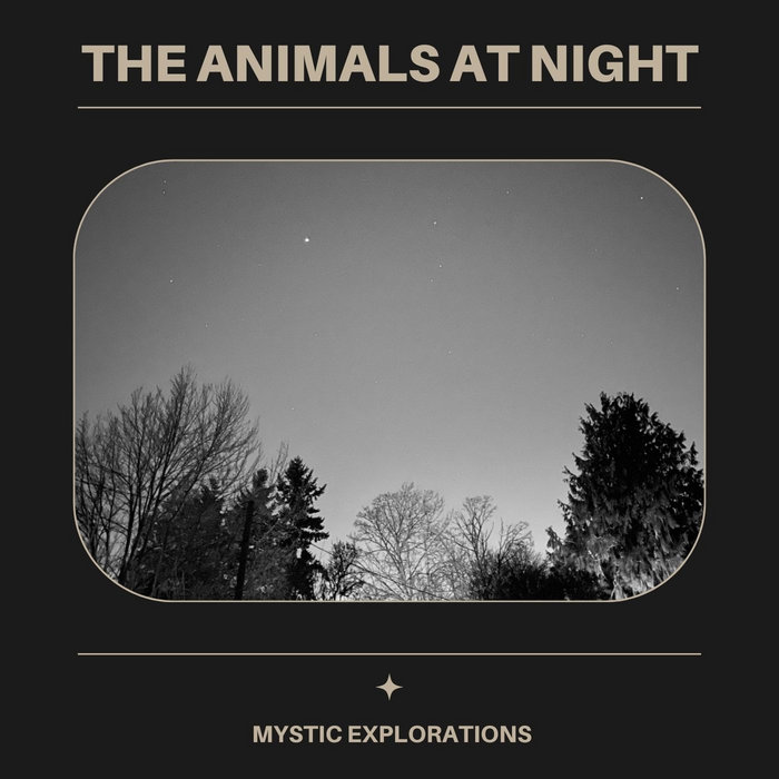 Mystic Explorations | The Animals at Night
