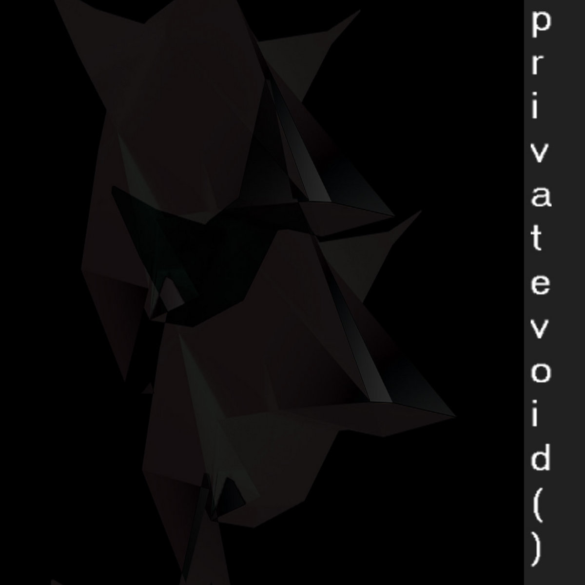 private void() - darkMode | ponysonic