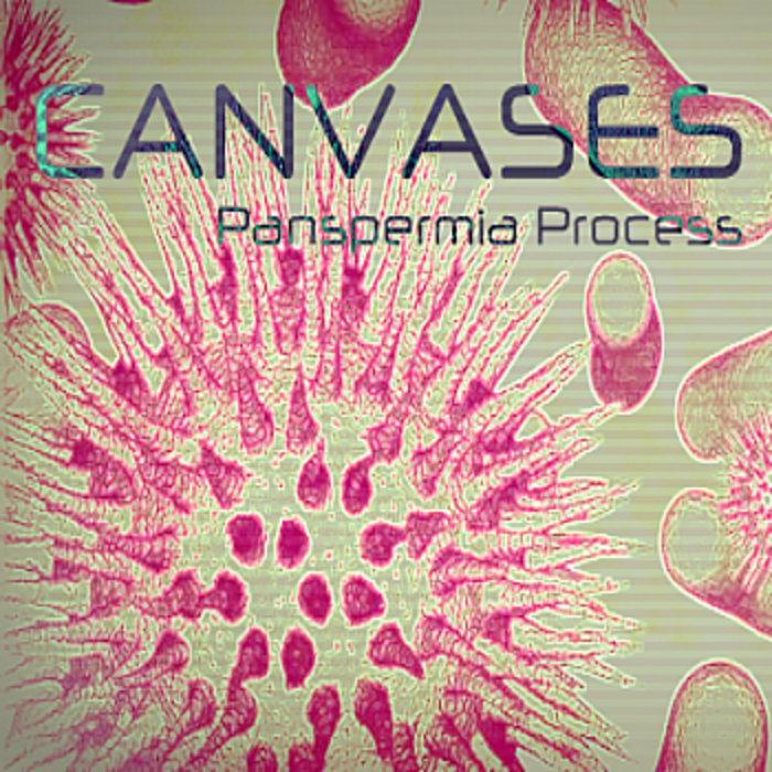 Panspermia Process Canvases panspermia-process-canvases