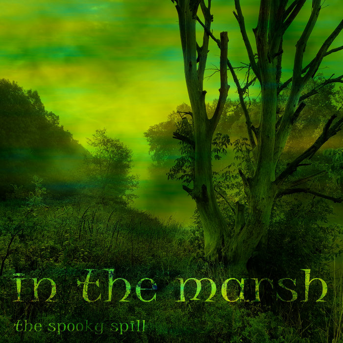 In The Marsh | The Spooky Spill