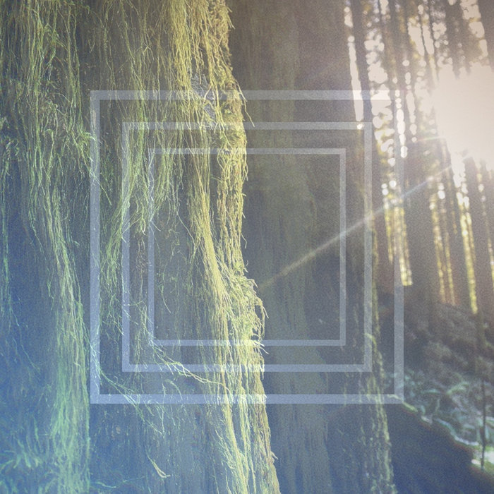 Reappearing | Mountain Holler