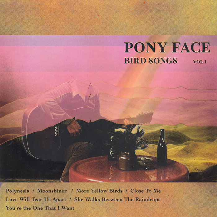 Bird Songs Vol 1 | Pony Face Records