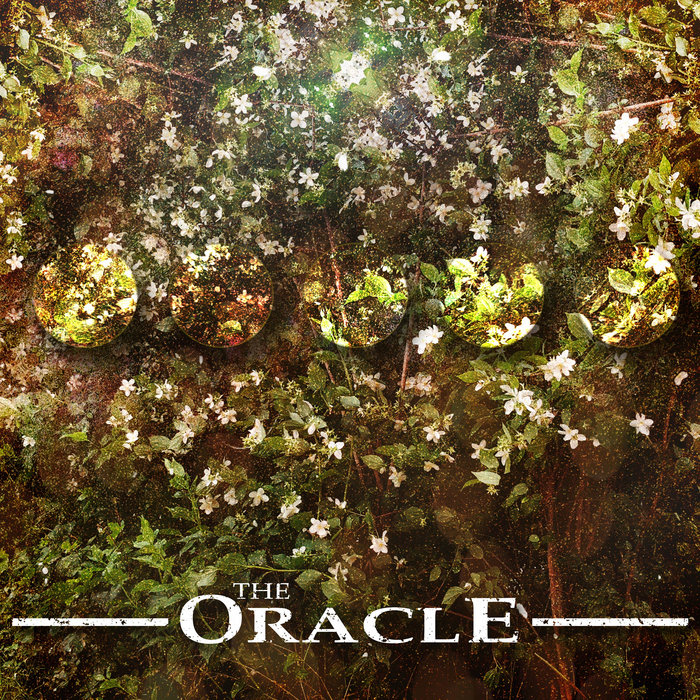 The Oracle | The Oracle