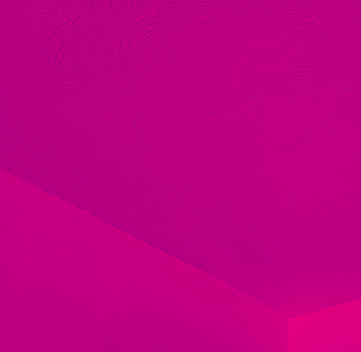 raspberry cabbage surprise | David Beardsley