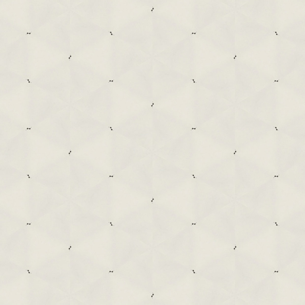 I Have | Indigo Minds