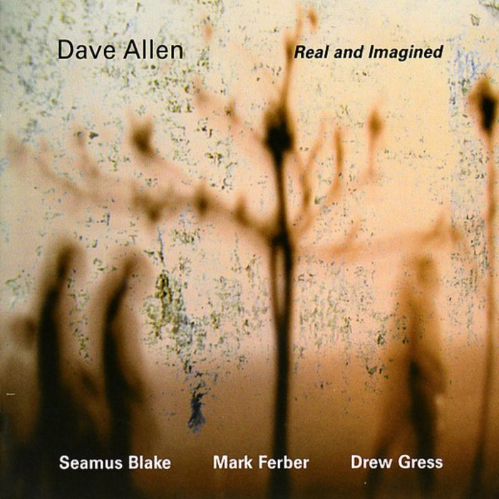 Real and Imagined | Dave Allen | Fresh Sound Records