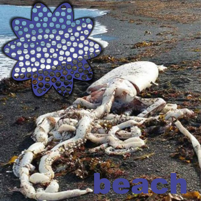 beach | Squashed Decapodiformes | Internal Gangrene Records