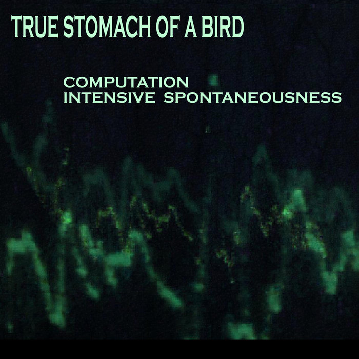 Computation Intensive Spontaneousness | True Stomach of a Bird - Ulf ...