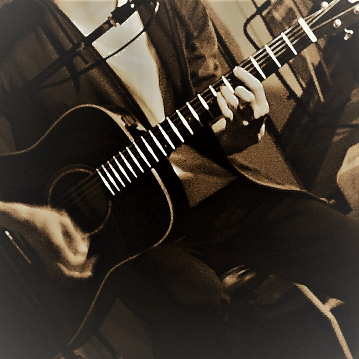 Lost Bull | Lost Bull