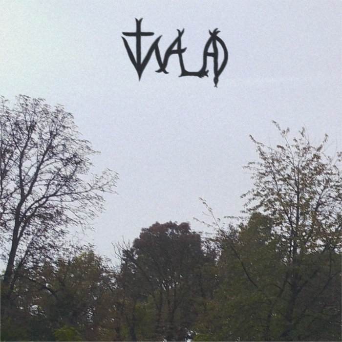 drifting echoes | tvnalad