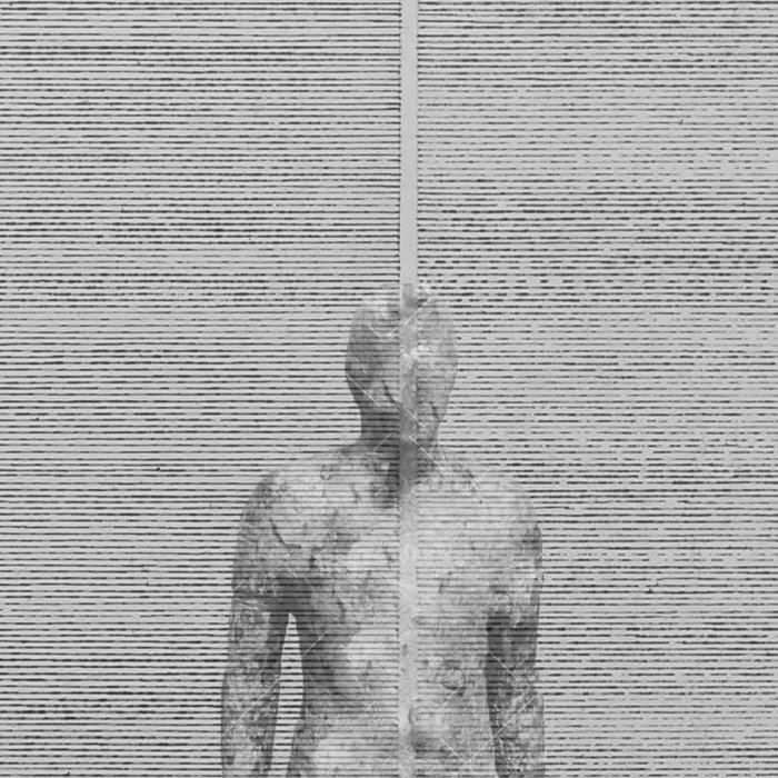 52 Hertz Whale | 52 Hertz Whale