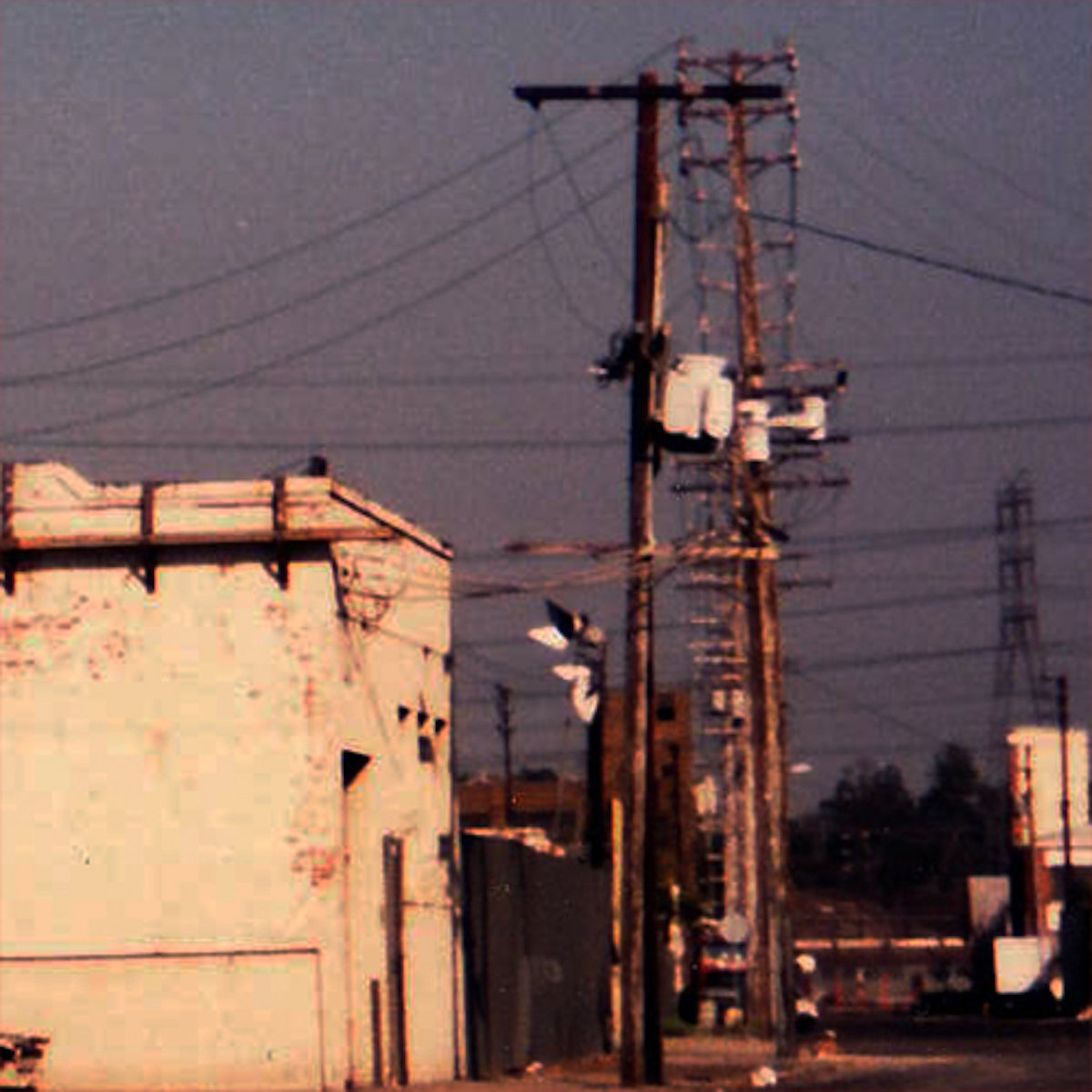 Through the Wires | David Martinelli