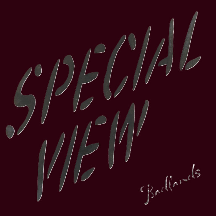 地獄の逃避行 badlands | the special view | The Special View