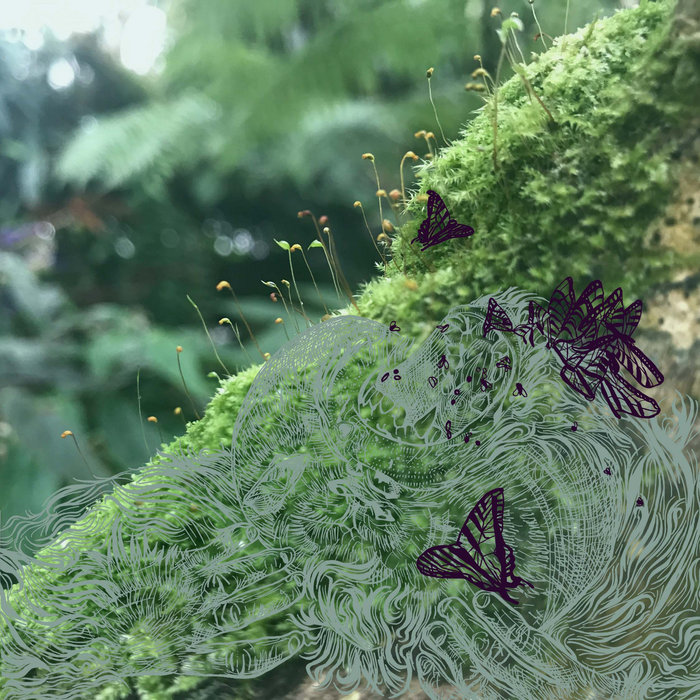 Espèces Perdues | Rykoranth