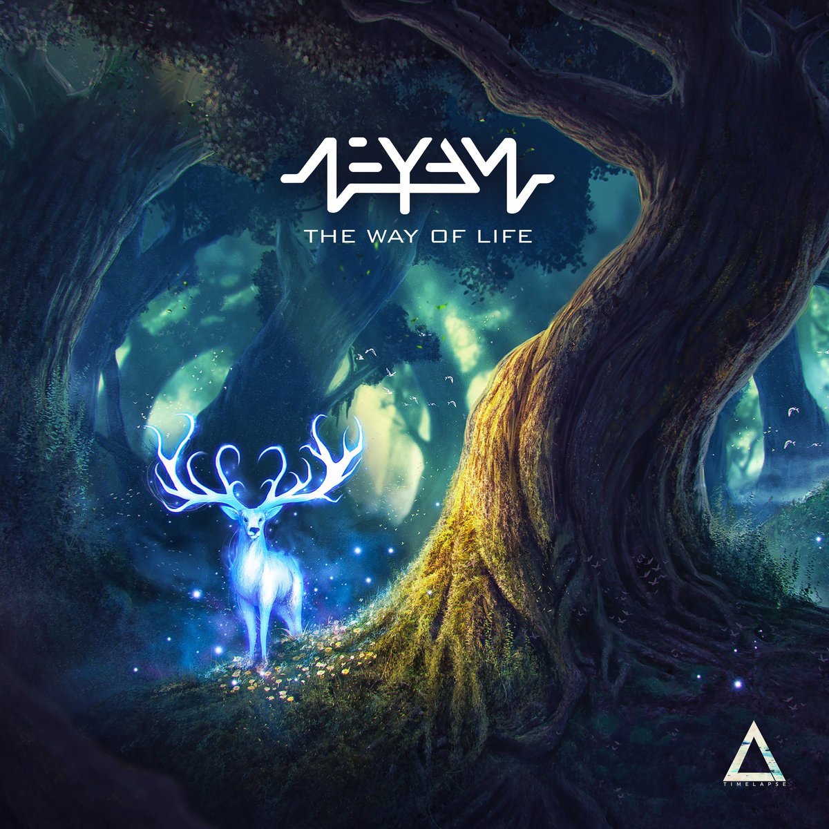 The Way of Life | Ne Yam (Timelapse) | Timelapse Records