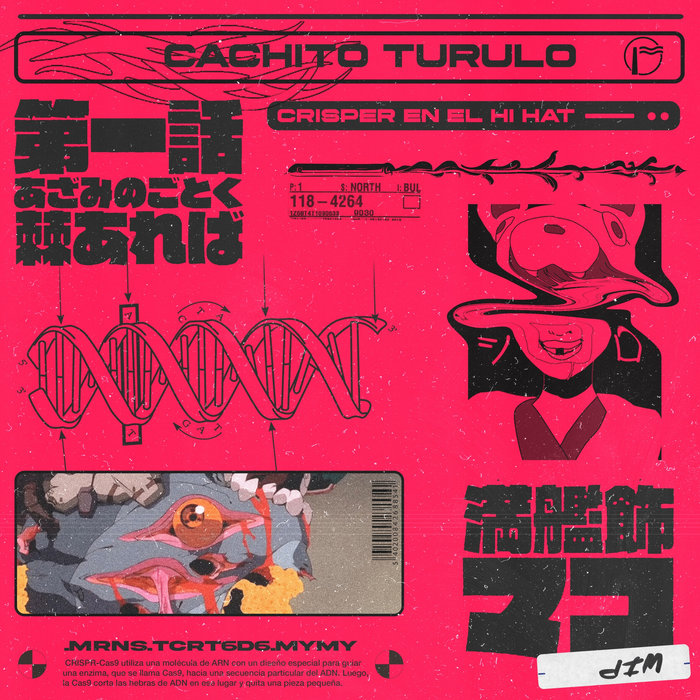 Crísper en el hi hat | CACHITO TURULO