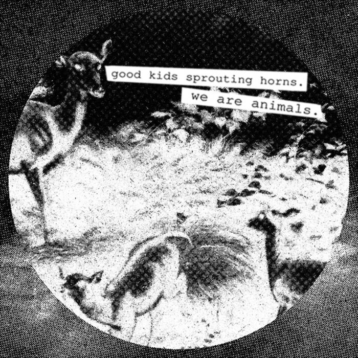 We Are Animals | Good Kids Sprouting Horns