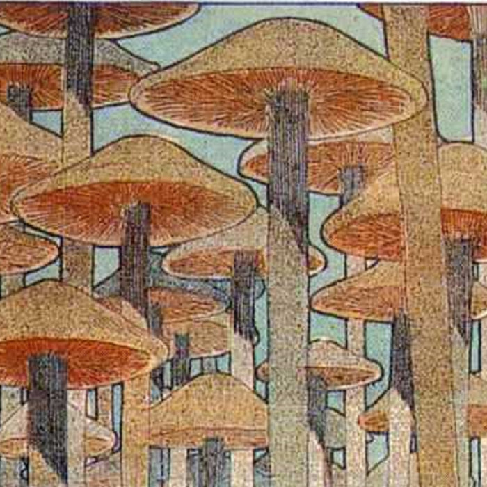 Stitched On Bach | ∞ | The Museum of Viral Memory