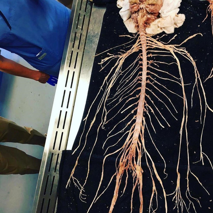 Beyond anger | Yami no oto | yami no oto