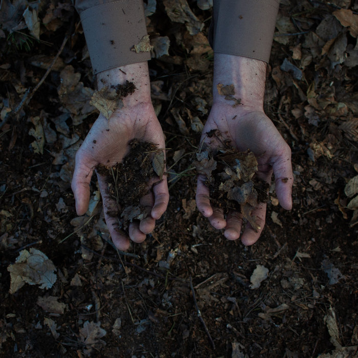 Rocks and Sticks and Spit and Mud | Jack Larkin