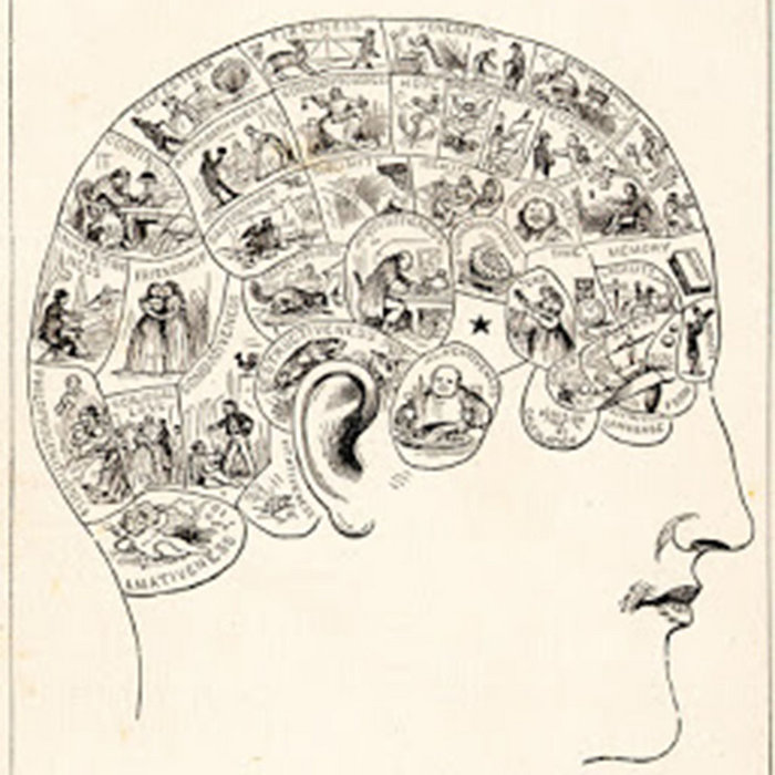 Wounded Heads | Origami Surgeon